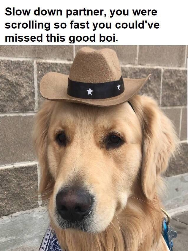 Take 'er easy on this fine Saturday! : u/CountyLineVet